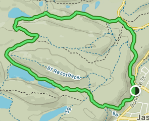 Mina Riley Loop, Alberta, Canada - 91 Reviews, Map | AllTrails
