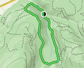 Rhaeadr Fawr (Aber Falls) Circular, Conwy, Wales - 580 Reviews, Map ...