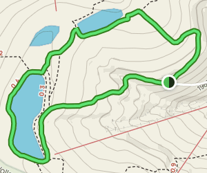 Spruce Lake Trail: 164 Reviews, Map - New York | AllTrails