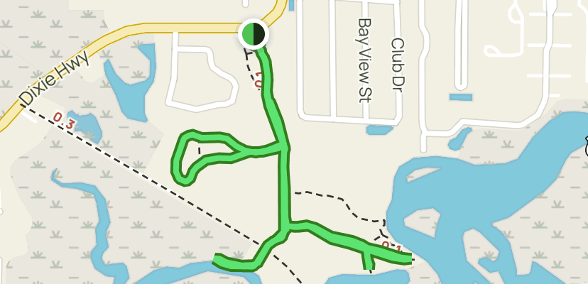 Are Dogs Allowed North Anclote River Nature Park