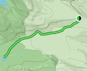 Primm Lake via West Fork Gold Creek, Montana - 8 Reviews, Map | AllTrails