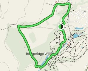 Baggeridge Wood Trail, Staffordshire, England - 165 Reviews, Map ...
