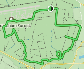 Rendlesham Forest Southern Circular Route, Suffolk, England - 36 ...