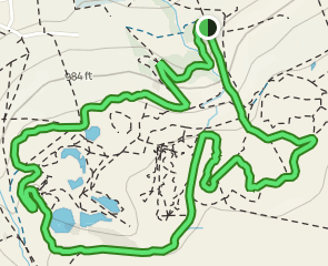 Lee Quarry Circular, Lancashire, England - 61 Reviews, Map | AllTrails