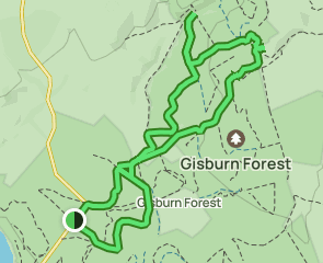 Gisburn Forest Circular, Lancashire, England - 15 Reviews, Map | AllTrails