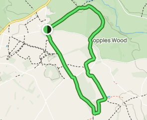 Finstock and Wychwood Way, Oxfordshire, England - 108 Reviews, Map ...