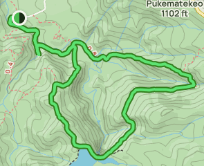 Auckland City Walk, Anderson Track, Waitakere Tramline, and Fencline ...