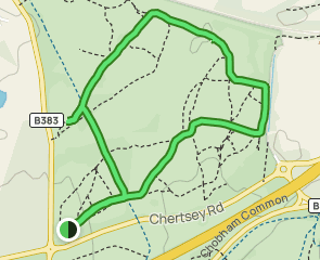 Chobham Common North Circular: 55 foton – Surrey, England | AllTrails