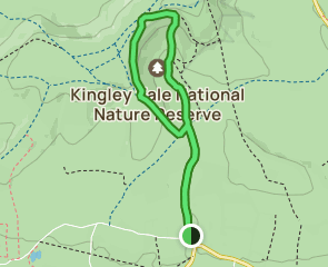 Kingley Vale Devil Humps Circular, West Sussex, England - 233 Reviews ...