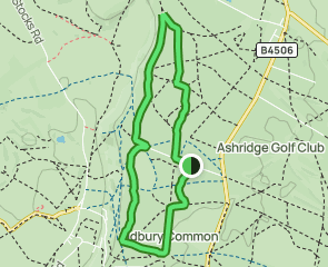 Ashridge Forest Circular, Hertfordshire, England - 125 Reviews, Map ...