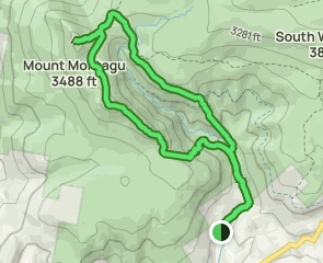 Mount Montagu and Wellington Falls Circuit: 296 foto - Tasmania ...