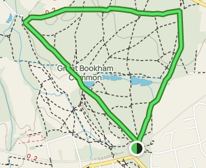 Bookham Commons Eastern and Hill House Wood Walk, Surrey, England - 53 ...