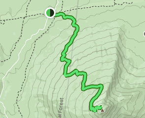 Olallie Butte, Oregon - 99 Reviews, Map | AllTrails