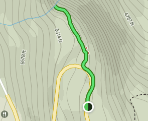 Edge of the World Trail, Alberta, Canada - 661 Reviews, Map | AllTrails