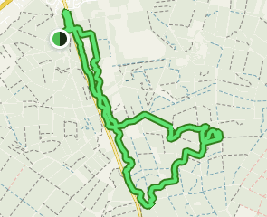 Thetford Forest Black MTB Circular, Suffolk, England - 11 Reviews, Map ...