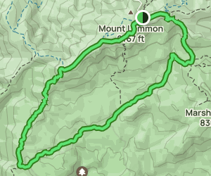 Mount Lemmon, Wilderness of Rocks, and Aspen Trails Loop: 122 Reviews ...