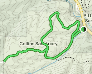Collins Trail: 127 fotos - Oregon | AllTrails