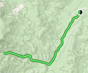 Grapevine Creek Trail: 198 Reviews, Map - Arizona | AllTrails