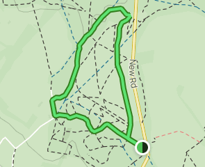 Northchurch Common and Ashridge Estate, Hertfordshire, England - 68 ...