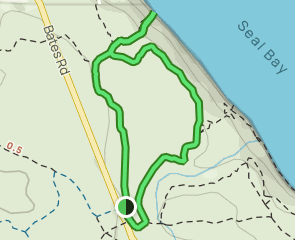 Seal Bay Coupland Loop, British Columbia, Canada - 165 Reviews, Map ...