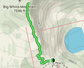 Big White Mountain Peak Trail, British Columbia, Canada - 41 Reviews ...