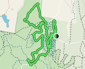 Wombat MTB Trail Loop 1, Victoria, Australia - 61 Reviews, Map | AllTrails