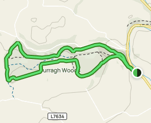 Curragh Woods Loop: 77 Fotos - County Cork, Irland | AllTrails