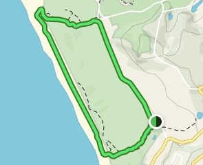 Muriwai Beach Loop, Auckland, New Zealand - 67 Reviews, Map | AllTrails
