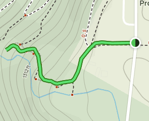 Fintry Falls, British Columbia, Canada - 262 Reviews, Map | AllTrails