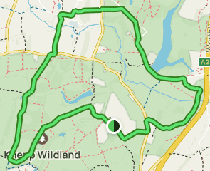 Knepp Red Route: 205 Reviews, Map - West Sussex, England | AllTrails
