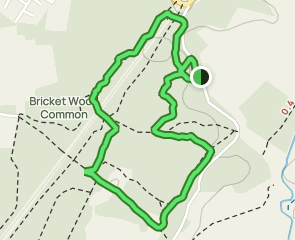Bricket Wood Common, Hertfordshire, England - 31 Reviews, Map | AllTrails