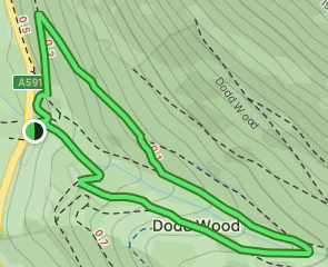 Dodd Wood Short Circular, Cumbria, England - 63 Reviews, Map | AllTrails