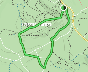 Selborne Hill Circular, Hampshire, England - 73 Reviews, Map | AllTrails