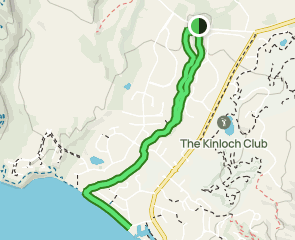 Whangamata Stream Trail, Waikato, New Zealand - 53 Reviews, Map | AllTrails