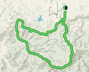 Pukenui Forest and Taraire Ridge Loop, Northland, New Zealand - 73 ...