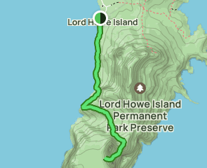 Mount Gower Track, New South Wales, Australia - 31 Reviews, Map | AllTrails