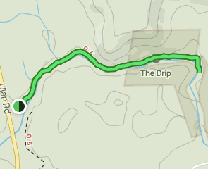 The Drip Walking Track: 153 Fotos - Nova Gales do Sul, Austrália ...