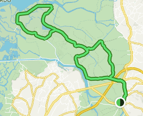 PR3 ALB - Storks Trail: 11 Reviews, Map - Aveiro, Portugal | AllTrails