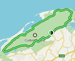 Culbin Forest Circular, Moray, Scotland - 24 Reviews, Map | AllTrails