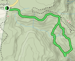 Cascades Track, New South Wales, Australia - 35 Reviews, Map | AllTrails