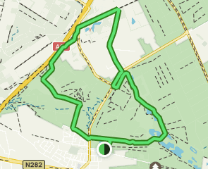 Dorst Forest - Surae, North Brabant, Netherlands - 13 Reviews, Map ...