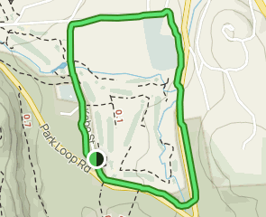Great Meadow Loop Trail: 172 Reviews, Map - Maine | AllTrails