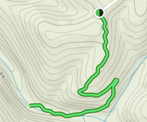 Conasauga Falls Trail: 477 Reviews, Map - Tennessee | AllTrails