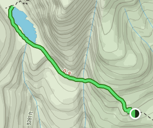 Independence Lake Trail: 71 Reviews, Map - Washington | AllTrails