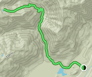 Irely Lake Trail to Big Creek Trail: 27 Reviews, 46 Photos, Map ...