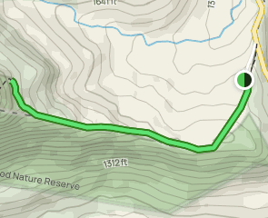 Bushrangers Cave, Queensland, Australia - 48 Reviews, Map | AllTrails