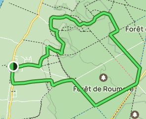 Forêt de Roumare depuis Saint-Pierre-de Manneville, Seine-Maritime ...