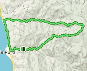 Te Puru Track Loop, Waikato, New Zealand - 14 Reviews, Map | AllTrails