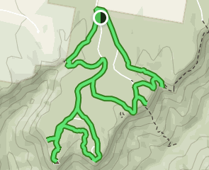 Mount Carnarvon Walking Track, New South Wales, Australia - 84 Reviews ...