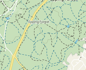 Epping Forest and Green Ride Trail Circular, Essex, England - 248 ...